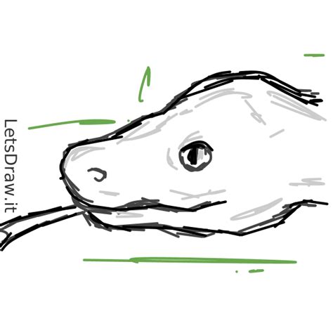 How To Draw Anaconda Jzt Z B Png LetsDrawIt