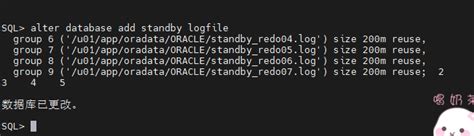 Oracle19c Adg搭建oracle 19c Adg搭建详细步骤 Csdn博客