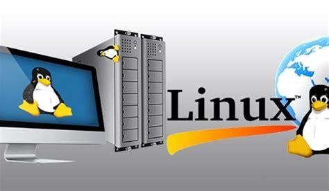 Cloud Hosting Linux Là Gì Từ A Z Về Cloud Hosting Cloud Vps