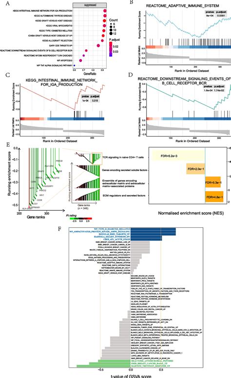 Enrichment Pathway Analysis A Gsea Plots The X Axis Represents The Download Scientific