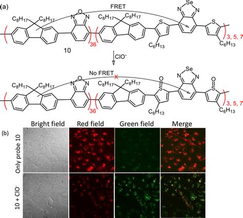 A Schematic Presentation Of The Chemodosimetric Detection Of ClO Download Scientific