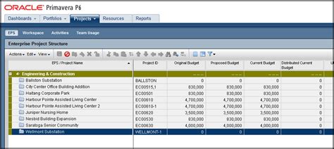 Primavera P6 Eppm Scheduling Privileges With Limited Project Data