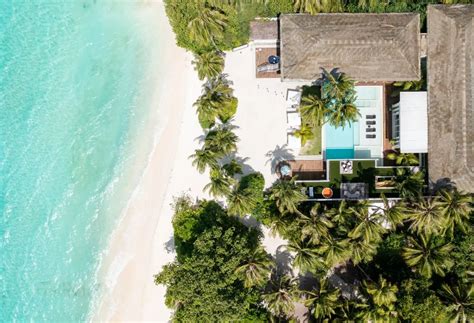 The Amilla Estate - Ownia Collection