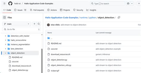 Configuring The Environment On Raspberry Pi 5 To Run The “hailo Application Code” Examples