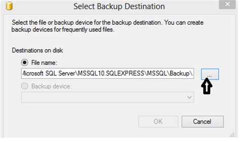 Back Up And Restore A Database Using Sql Server DotNetFunda