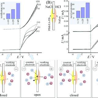 A Cyclic Voltammograms Scan Rate I 25 Ii 50 Iii 100 Iv Download Scientific