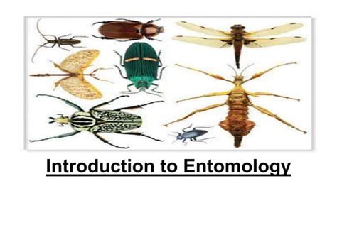 Introductory Lect 1 Entoppt