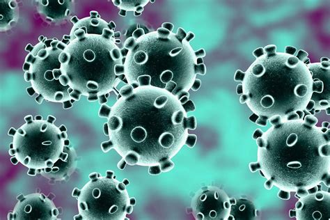 15 “viral” Facts About Viruses