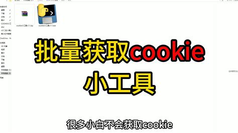 【爬虫辅助】批量获取cookie小工具，支持多个平台 马哥python说 马哥python说 哔哩哔哩视频