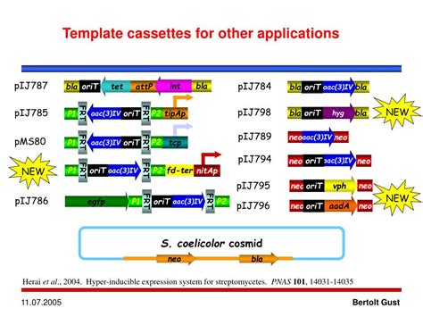 Ppt Lambda Red Recombination Powerpoint Presentation Free Download