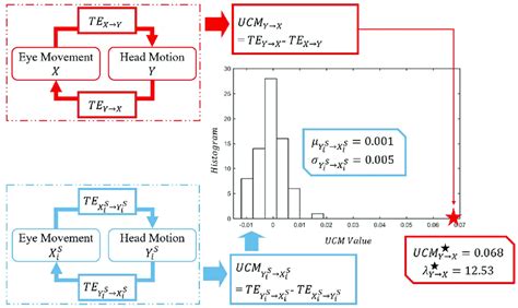 An Illustration Scheme For The Computation Of Unidirectional Causality Download Scientific