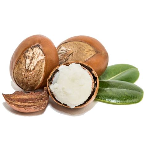 Shea Butter Shea Butter Shea Body Butter Unrefined Shea Butter