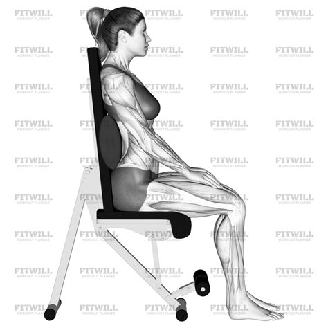 Static Position Seated Back With Pad Exercise Guide Techniques