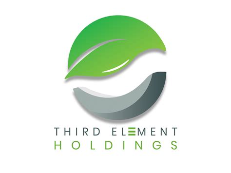 Training Development Third Element Group