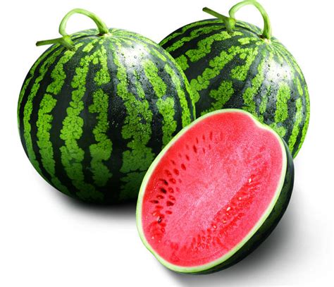 ‘철없는 수박 인기이마트 고당도 수박 And 까망 애플 수박 본격 판매 ‘철없는 수박 인기이마트 고당도