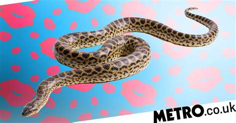 What Is The Anaconda Sex Position Chris From Love Island Loves Metro News
