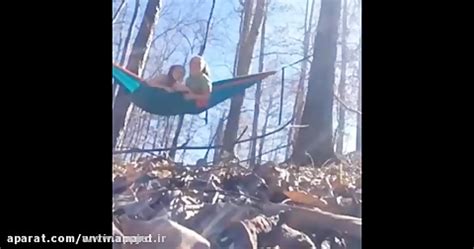 ضربه مغزی شدن وحشتناک دو دختر جوان با سقوط کنده درخت