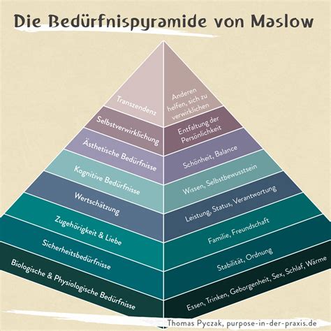 Die Merkmale Der Selbstverwirklichung Nach A Maslow Und C Qohd