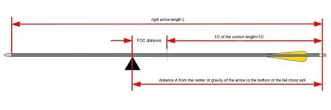 Introduction To The Common Parameters Of The Whole Arrow Including Arrow Length Arrow Weight