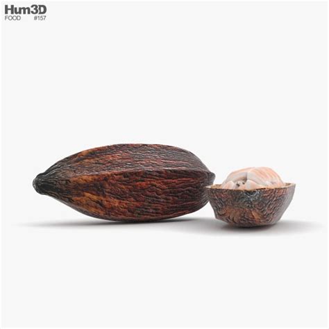Cocoa Pod 3d Model Download Farm Crops On