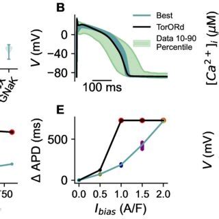 The Best Individuals Found By The Genetic Algorithm Are Physiologic And Download Scientific
