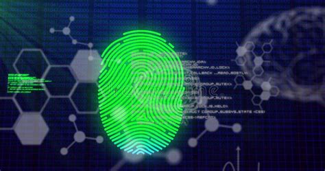 Image Of Fingerprint Computer Language Molecule Structure Human