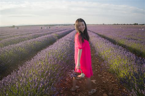 라벤더 꽃밭에서 야외에서 젊은 아시아 여성 보라색 꽃 초원에서 휴가를 즐기는 달콤한 여름 마젠타 드레스를 입은 행복하고 아름다운 한국 소녀 30 34세에 대한 스톡 사진 및
