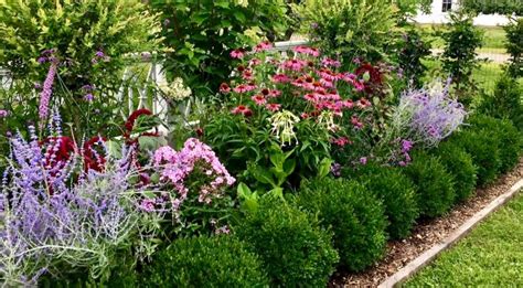 Complementary Colors Garden Inspiration Plants Garden