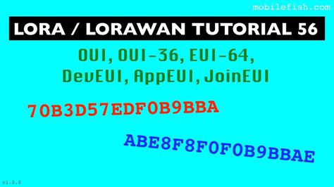 Loralorawan Tutorial 56 Oui Oui 36 Eui 64 Deveui Appeui Joineui