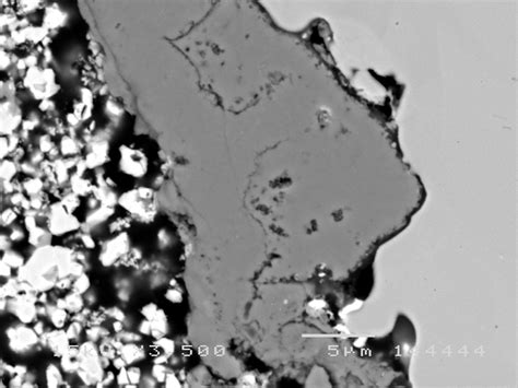 Bse Micrographs Of Cross Sections Of The Samples With The Oxidation