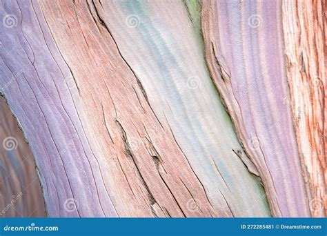 Close Up Shot Of The Texture Of A Tree With Pink Bark Generated By Ai