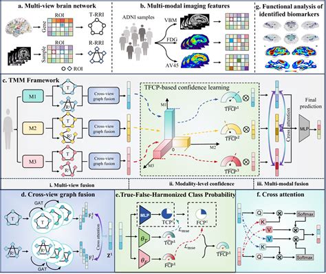 Trustworthy Enhanced Multi View Multi Modal Alzheimers Disease Prediction With Brain Wide