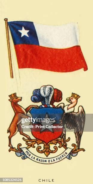 National Symbols Of Chile Photos And Premium High Res Pictures Getty