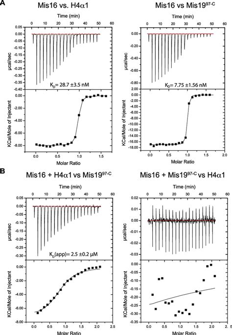 Mis19 And Histone H4 Peptide Binding Assays A Itc Measurements Of