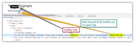 Get ToolTip Text In Selenium WebDriver MySkillPoint