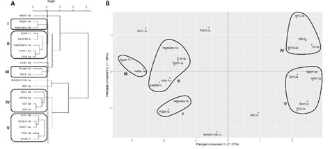 Methods To Evaluate Similar Antigenic Clustering Using 22 Bvdv Strains Download Scientific