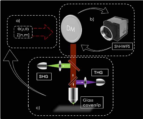 Schematics Of The Adaptive Optics Ao Setup Iterations That Were