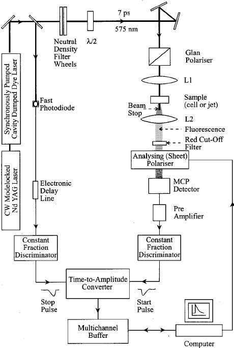 A Schematic Of The 180° Excitation Fluorescence Detection Geometry Used Download Scientific