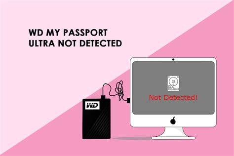 Fix WD My Passport Ultra Not Detected On Windows TechCult