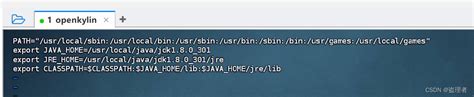 麒麟系统—— openkylin 安装 java 麒麟系统安装jdk csdn博客