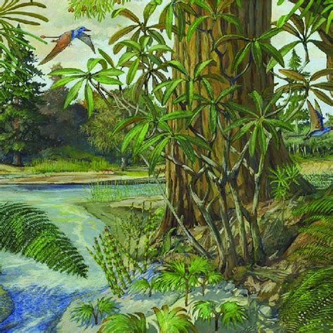 Reconstruction Of The Mid Jurassic Ecosystem Of Eriksdal Skåne The