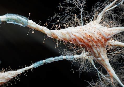 the matchbox sized device that could screen for alzheimer s disease