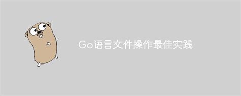 Go語言檔案操作最佳實踐 Golang Php中文網