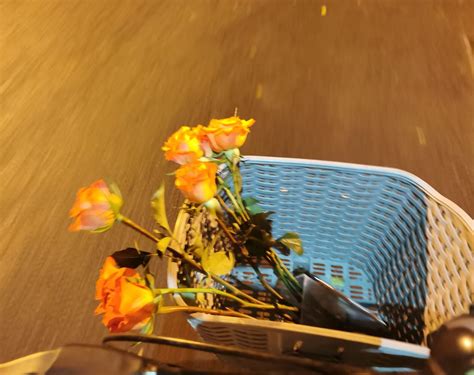 日记·篇九·23年5月 『姑妄言之姑妄听之』