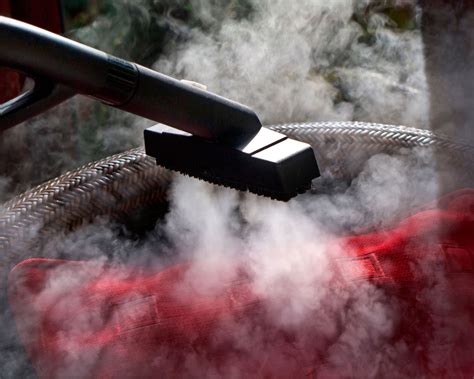 How To Get Rid Of Fleas Inside The House 5 Ways To Stop Them Homes And Gardens