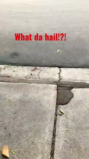 What Da Hail Youtube