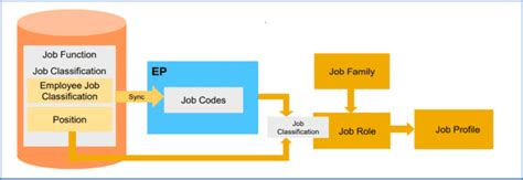 Sap Job Profile Builder Overview And Implementation Tips Rizing