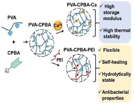 羧酸盐在聚（乙烯醇）聚合物上的动态接枝形成超分子交联水凝胶 Chemistry An Asian Journal X Mol