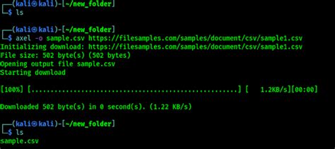 Как скачать или загрузить файл в терминале Kali Linux