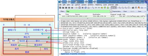 Tcp：wireshark分析，序列号seq和确认号ack Doubleli 博客园